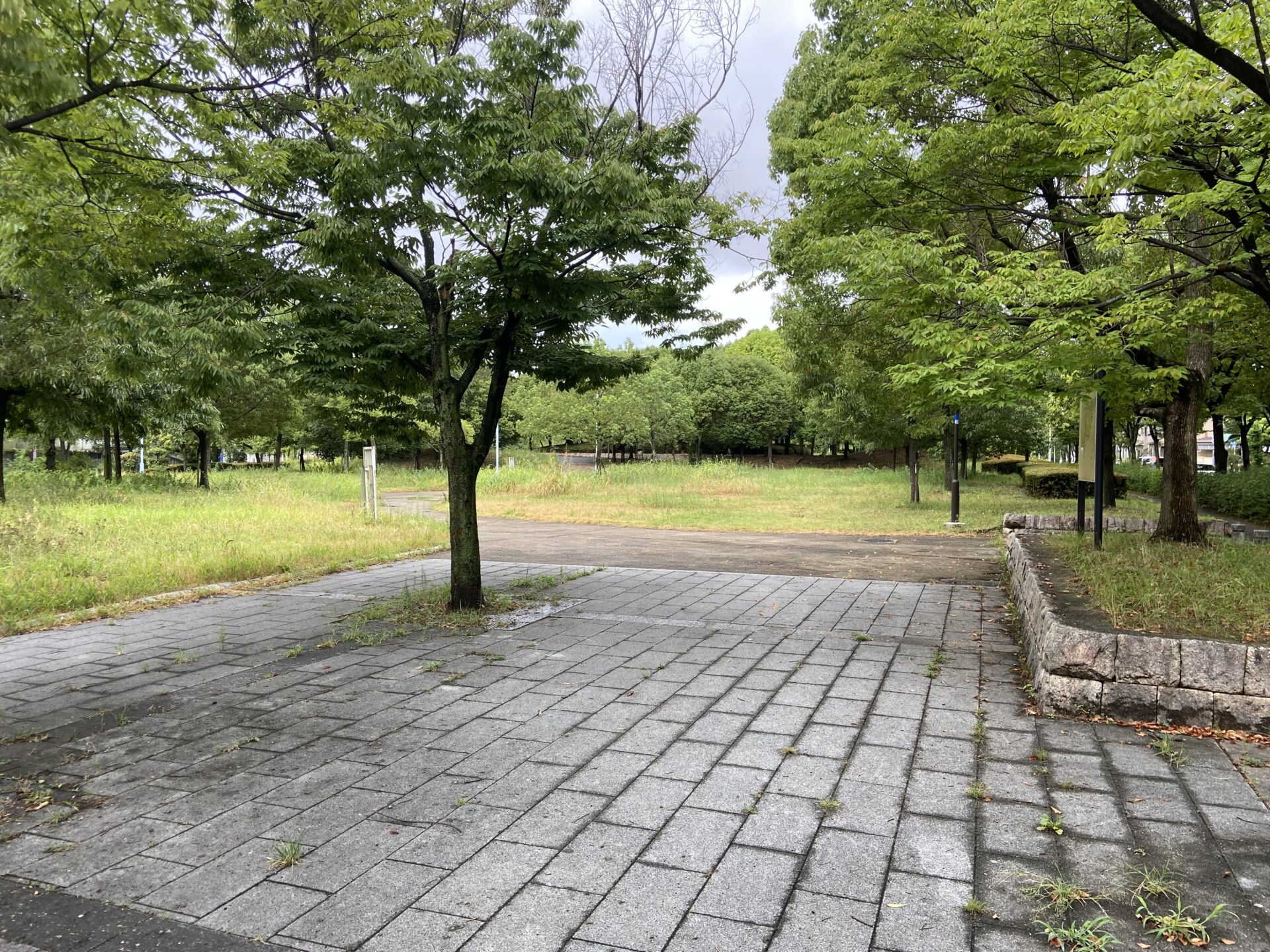 【第300/301回】TOEIC公開テスト速報！感想・難易度及び結果発表！！【2022年8月21日実施】 | EARTHIANS JOURNAL