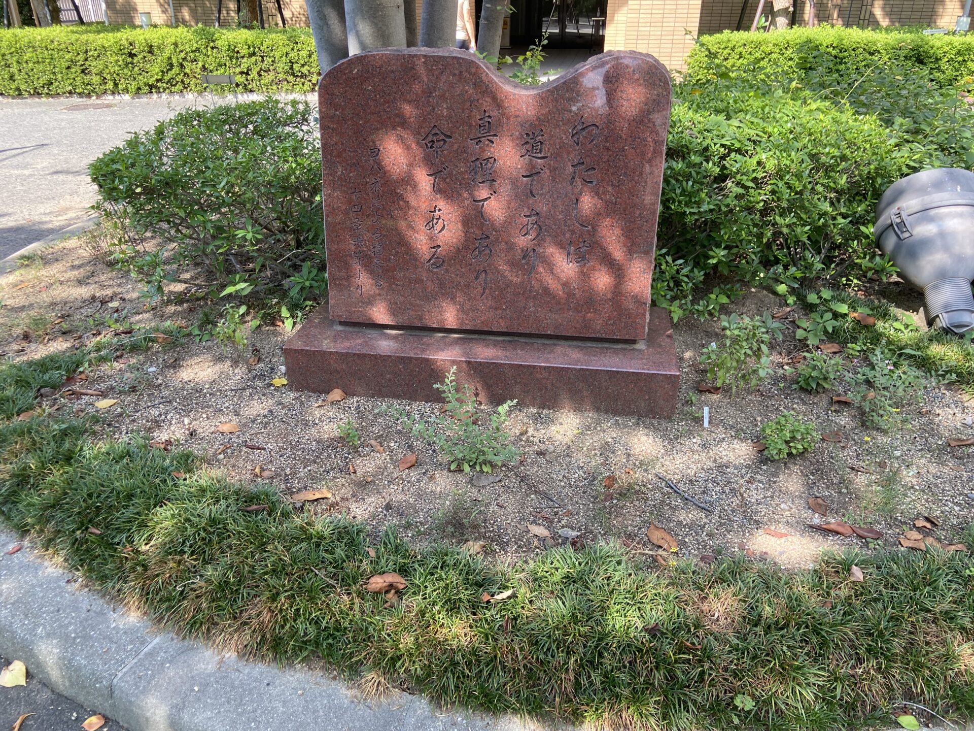 【第330/331回】TOEIC公開テスト速報！感想・難易度及び傾向と対策【2023年8月20日実施】 | EARTHIANS JOURNAL